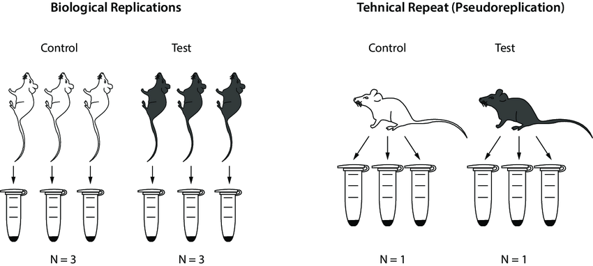 B0305 Lab Eco Gral 2025 – Diseño experimental, (pseudo)replicación, poder estadístico